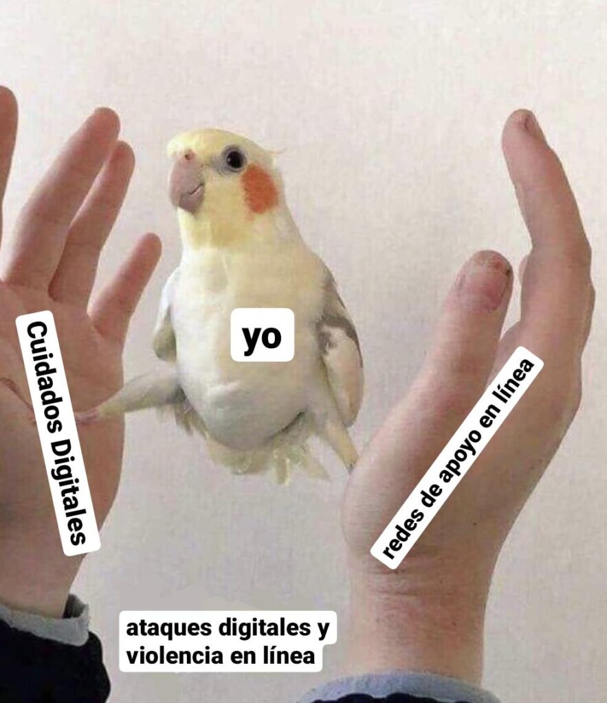 10 memes de seguridad digital para nuestro 10° aniversario – SocialTIC
